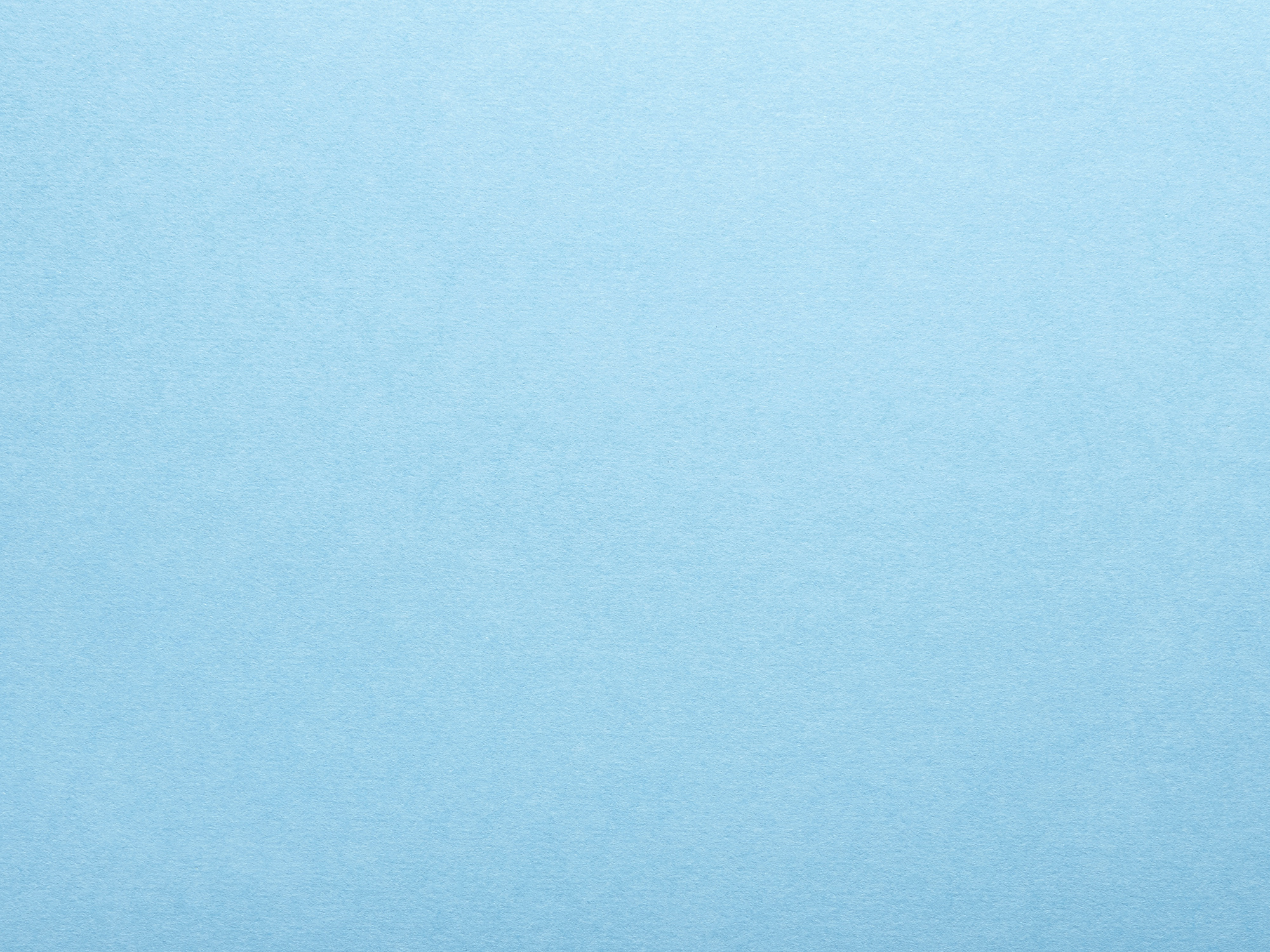 The colour wall - Ball & Doggett